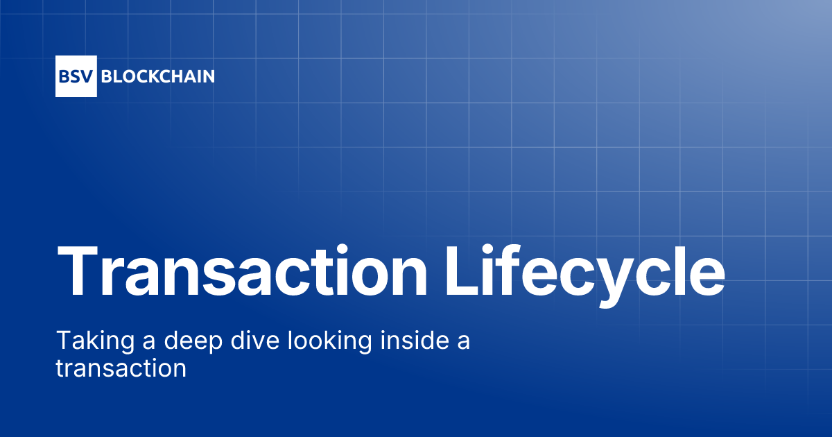 Transaction Lifecycle | Bitcoin Protocol Documentation