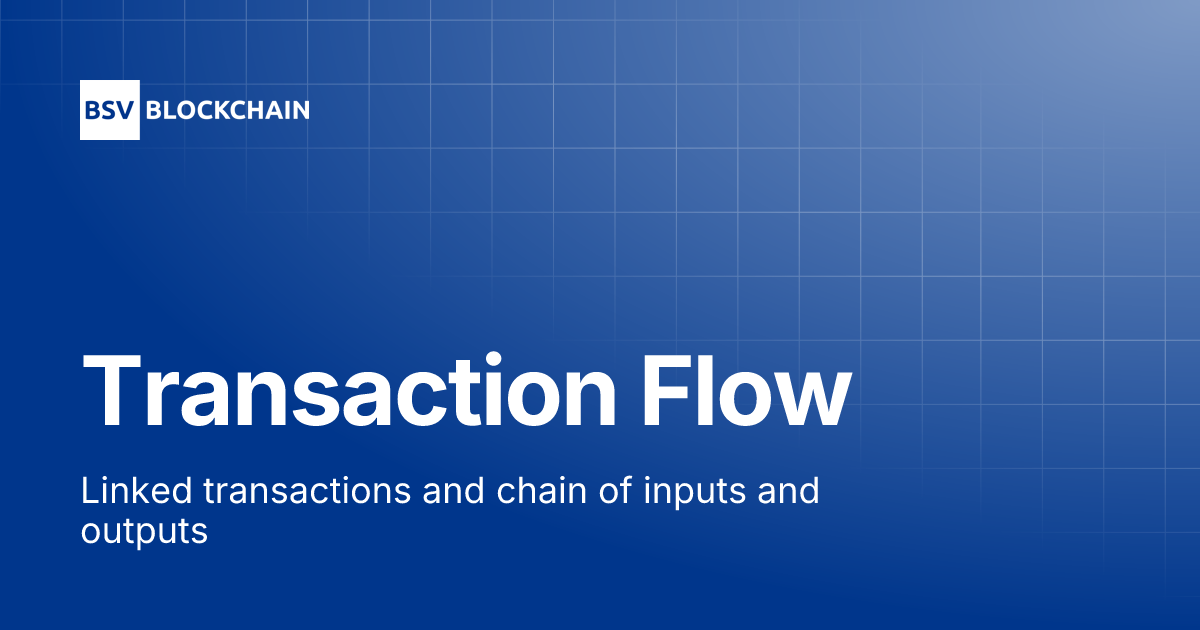 Transaction Flow | Bitcoin Protocol Documentation