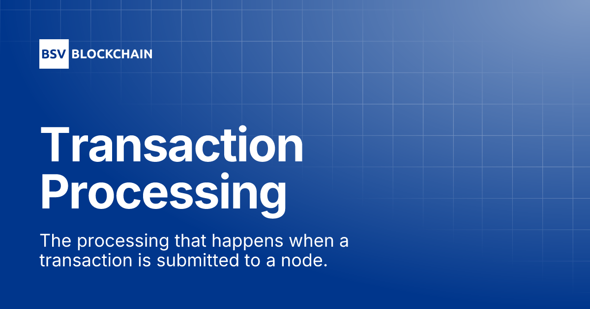 Transaction Processing | Bitcoin Protocol Documentation