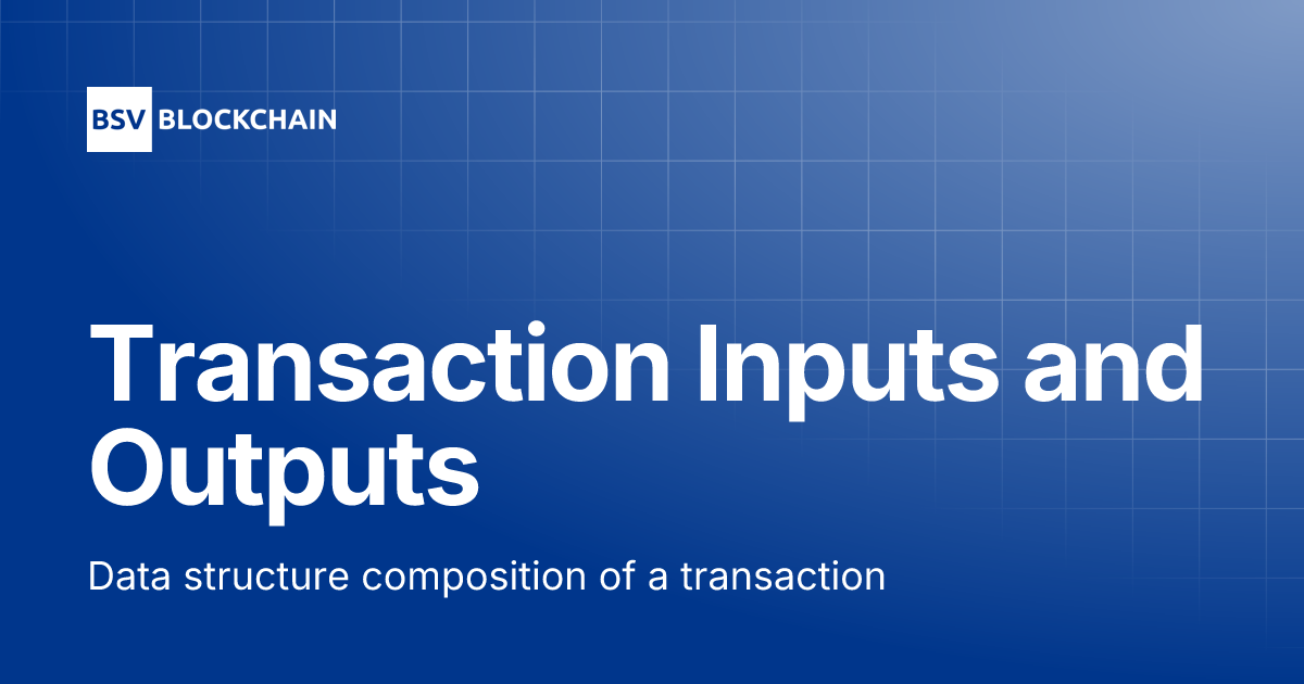 Transaction Inputs and Outputs | Bitcoin Protocol Documentation